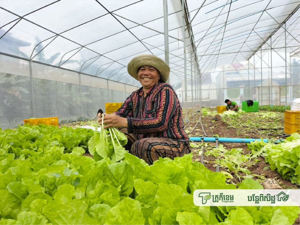 Tropicam Farmers 2 - Tropicam Fruit & Vegetable Co., Ltd.